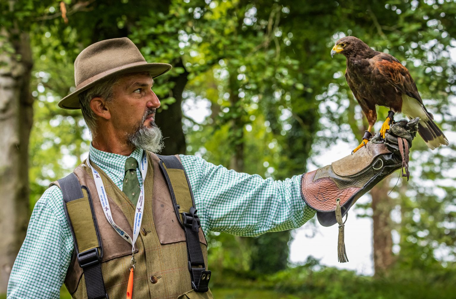 Our Luxury River Cruise Journeys - Shannon Princess